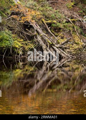 Rapids and falls on the River Garry at The Pass of Killiecrankie ...