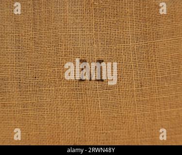 Letter G. Stamp letters on linen fabric Stock Photo - Alamy
