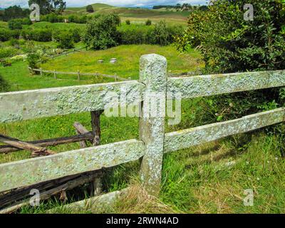 Hobbiton movie set created to film Lord of the Rings and The Hobbit ...