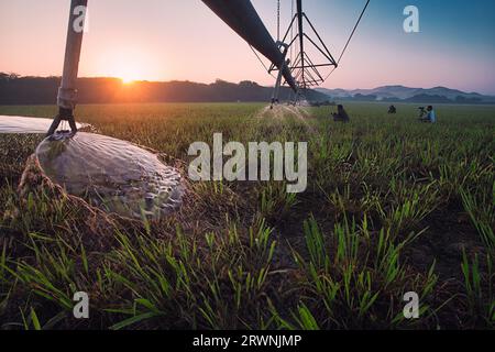 Irrigation land of Saudi Arabia Stock Photo - Alamy