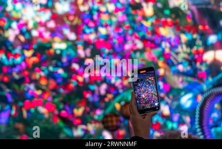 A visitor takes pictures at the "The Butterfly Trail" event. Outernet ...