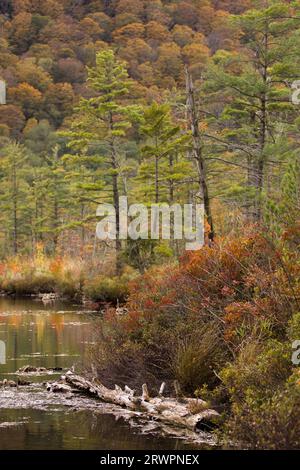 Labrador Hollow Unique Area Stock Photo - Alamy