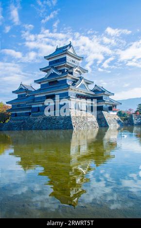 Matsumoto Castle and a swan on the inner moat Stock Photo - Alamy