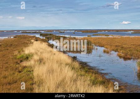 Liminka Bay landscape in autumn, Finland Stock Photo - Alamy