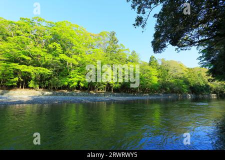 Isuzu River Gotearai-jo, Inner Shrine of Ise Jingu in the morning Stock ...
