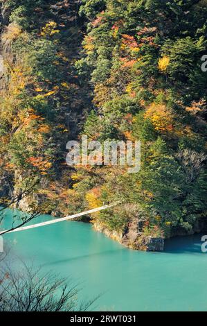 Sumata Gorge and Dream Suspension Bridge, Kawanehon, Shizuoka, Japan ...