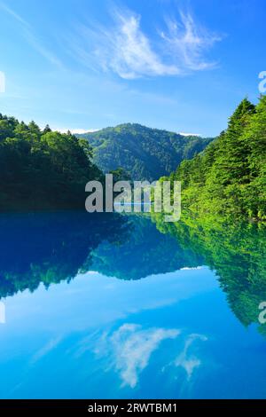 Onuma Pond in a morning water mirror and the distant view of the torii ...