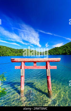 Torii (gate) of Onuma Shrine and Onuma Pond Stock Photo - Alamy