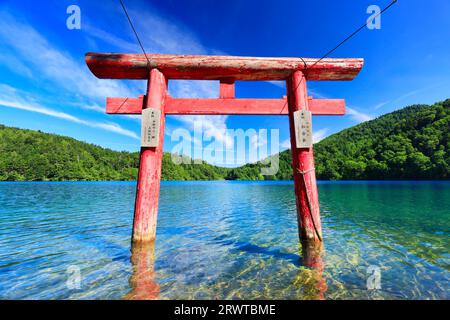 Torii (gate) of Onuma Shrine and Onuma Pond Stock Photo - Alamy