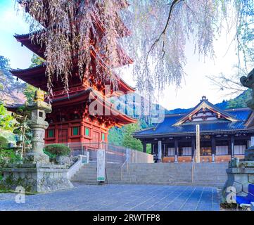 The main hall and five-storied pagoda of Kuonji Temple at Minobu-san ...