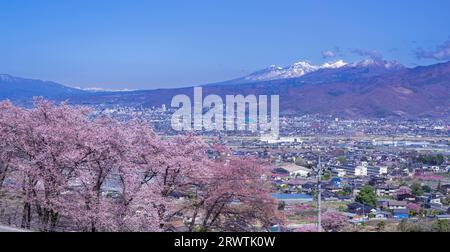 Yamanashi Landscapes Cherry blossoms in Kofu Basin, Fuefuki-Kofu City ...