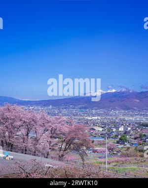 Yamanashi Landscapes Cherry blossoms in Kofu Basin, Fuefuki-Kofu City ...