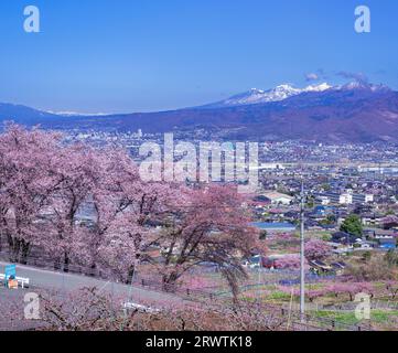 Yamanashi Landscapes Cherry blossoms in Kofu Basin, Fuefuki-Kofu City ...
