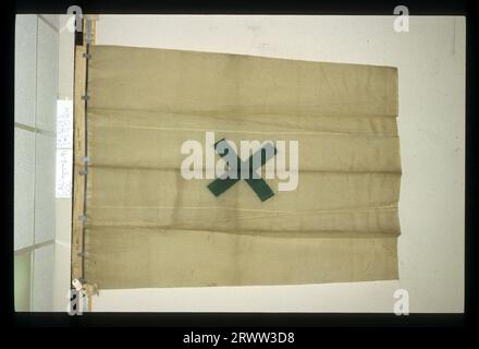 Designating flag. Light Division, 6th Army Corps. AF*25297. Scanned ...