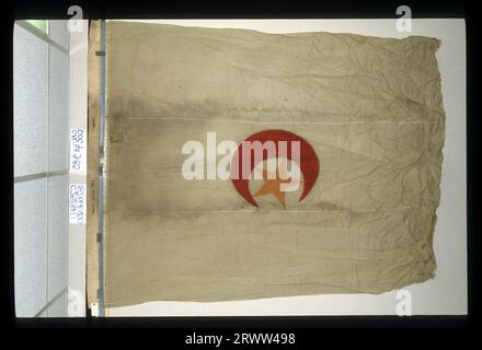 Designating flag. 1st Division, 7th Army Corps. AF*25268B. Scanned from ...