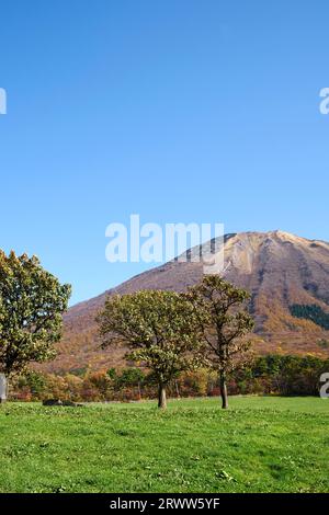 Mt. Daisen seen from Masumizu Plateau Stock Photo - Alamy