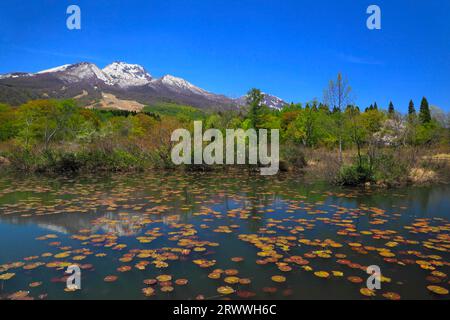 Mt. Myoko seen from Imori Pond in Myoko Plateau Stock Photo - Alamy