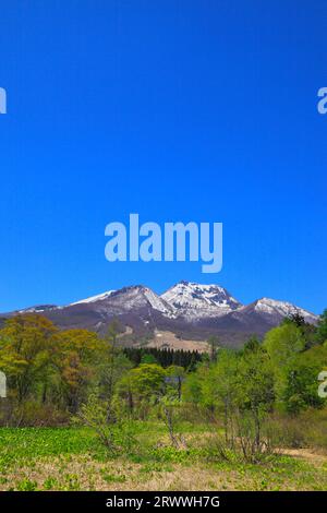 Mt. Myoko seen from Imori Pond in Myoko Plateau Stock Photo - Alamy
