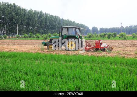 Farmers plant summer corn using no-till precision seeders in Dacang ...