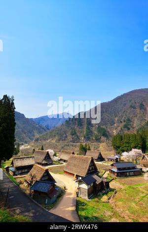 Suganuma Gassho-Zukuri Village and cherry blossoms in Gokayama Stock ...