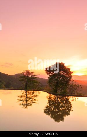 Water mirror rice paddies and morning sky Stock Photo - Alamy