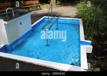 a Kneipp pool in the forest Stock Photo - Alamy