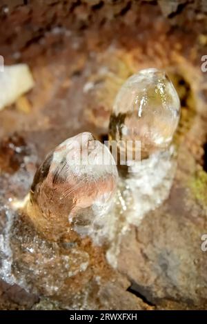 Yamanashi Funatsu Tainai tree-shaped glacial bamboo shoots Stock Photo ...
