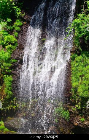 Spring water from the lava fault at Shiraito Falls, Shizuoka Prefecture ...