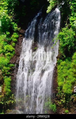 Spring water from the lava fault at Shiraito Falls, Shizuoka Prefecture ...