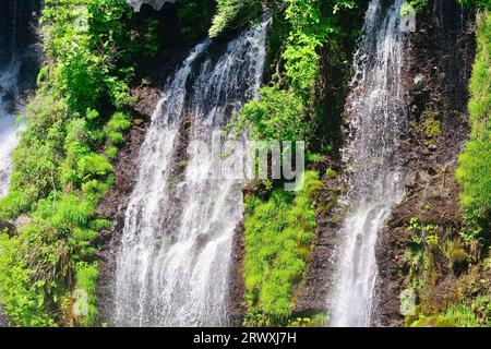 Spring water from the lava fault at Shiraito Falls, Shizuoka Prefecture ...