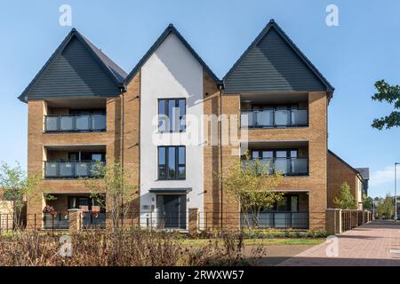 Bucklers Park, new houses housing development in Crowthorne, Berkshire ...