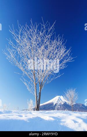 Foggy ice and Mt. Fuji Stock Photo - Alamy