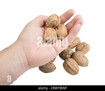 a bunch of walnuts on a transparent background Stock Photo - Alamy