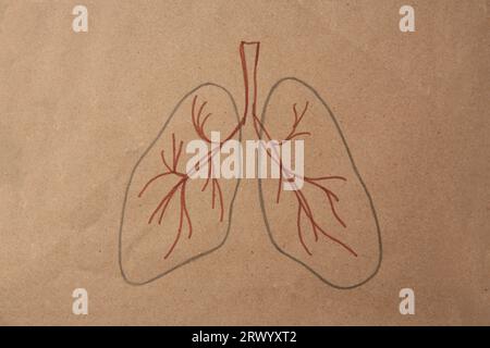 Top view lungs paper symbol and skeleton Stock Photo - Alamy