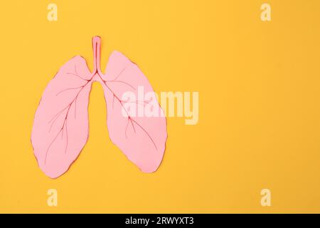 Paper cutout of human lungs on orange background, top view Stock Photo ...