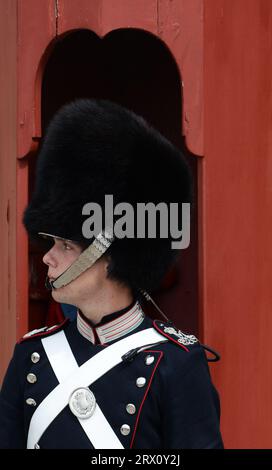 A Danish Royal Guard standing at his post at the Amalienborg castle in ...