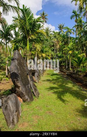 Oversized Large Giant Stone Coins Real Stone Money Stone Money Bank in ...