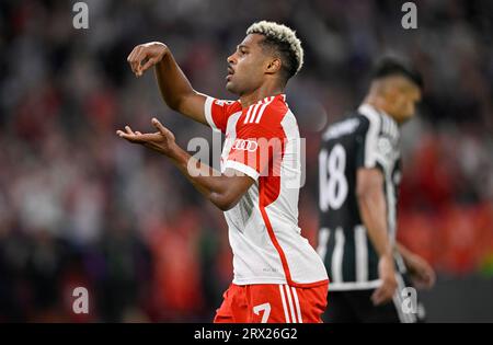 Goal celebration Serge Gnabry FC Bayern Muenchen FCB (07) Mathys Tel FC ...
