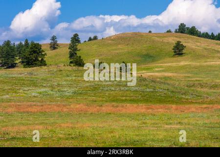 Views of Wind Cave National Park in Summer, South Dakota Stock Photo ...