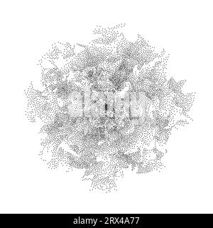 Black dotted rose flower form. Textured plant petal element for leaflet ...