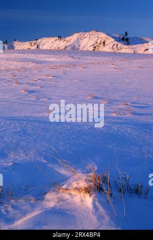 Winter grassland, Fort Robinson State Park, Nebraska Stock Photo - Alamy