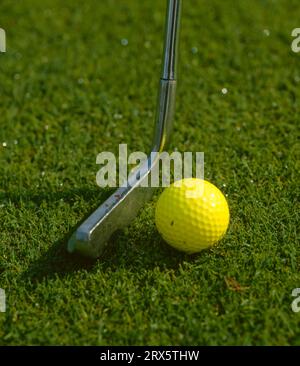 Golf club and Golf ball on green grass Stock Photo - Alamy