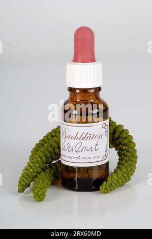 Bottle with Bach flower drops, walnut (Juglans regia), Bach flower ...