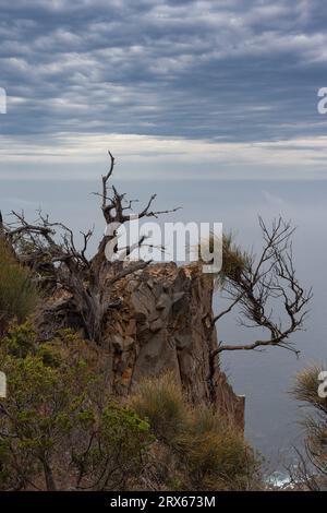 Breathtaking cliffs on Cape Raoul hiking path, located in Tasmania ...