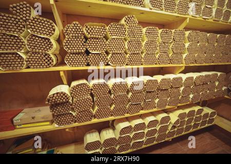 packs of freshly rolled cigars in storage Stock Photo - Alamy