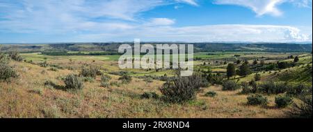 USA, Oregon, Wasco, Scenic fields Stock Photo - Alamy