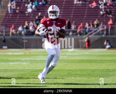 Stanford running back Sedrick Irvin (26) rushes for a touchdown against ...