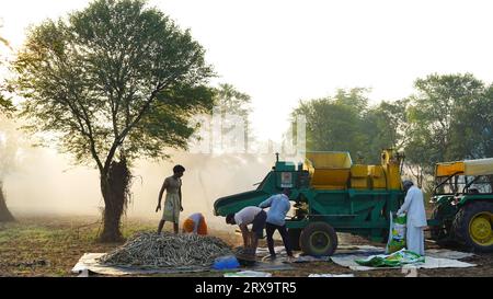 23 September 2023 Jaipur, Rajasthan, India. Thresher harvester ...
