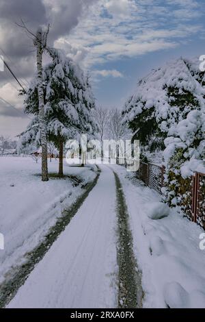Winter in Poland, Podkarpackie county, snowy meadows, snowy landscape ...