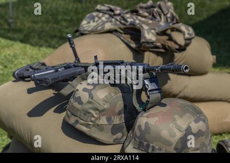 Small arms of Polish soldiers, GROT and BERYL assault rifles, Military ...